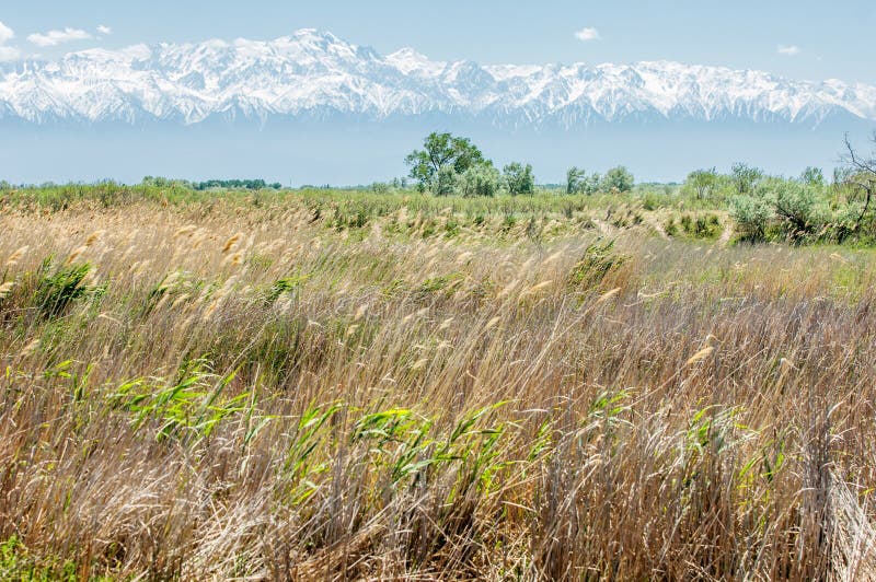 Steppe stock photo. Image of beauty, green, outdoor, asia - 44096266