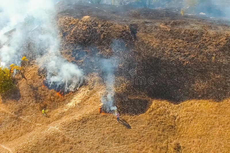 Steppe Fire. Burning Dry Grass, Fire Smoke Stock Photo - Image of loss ...