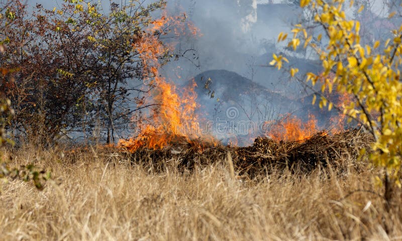Steppe Fires during Severe Drought Completely Destroy Fields. Disaster ...