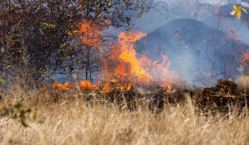 Steppe Fires during Severe Drought Completely Destroy Fields. Disaster ...
