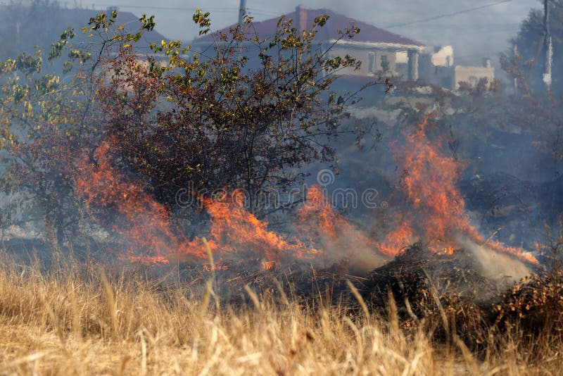 Steppe Fires during Severe Drought Completely Destroy Fields. Disaster ...