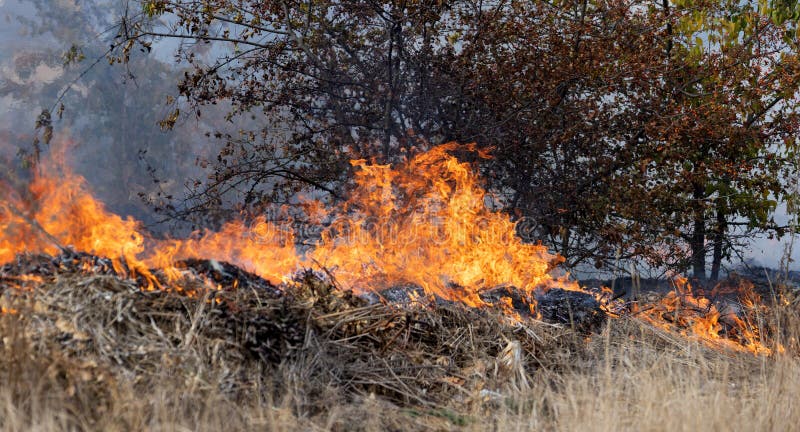 Steppe Fires during Severe Drought Completely Destroy Fields. Disaster ...