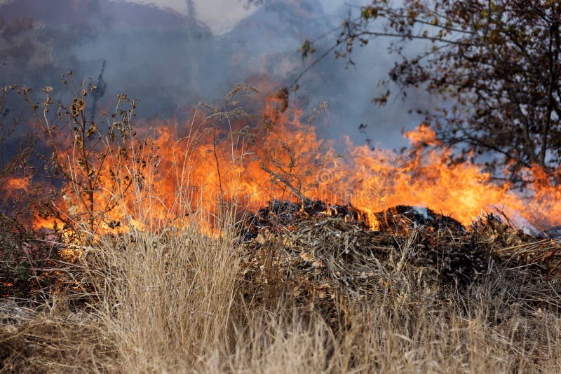 Steppe Fires during Severe Drought Completely Destroy Fields. Disaster ...