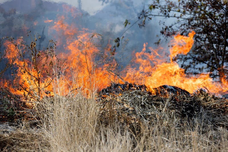 Steppe Fires during Severe Drought Completely Destroy Fields. Disaster ...