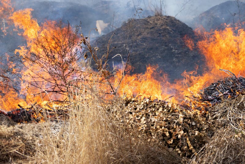 Steppe Fires during Severe Drought Completely Destroy Fields. Disaster ...