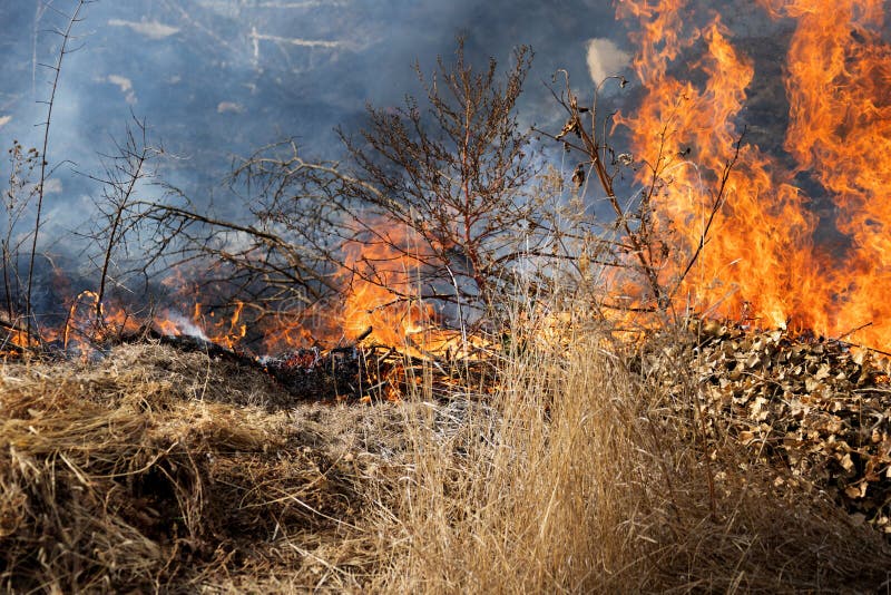 Steppe Fires during Severe Drought Completely Destroy Fields. Disaster ...