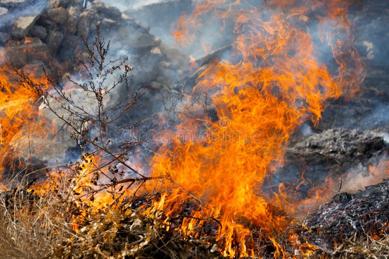 Steppe Fires during Severe Drought Completely Destroy Fields. Disaster ...