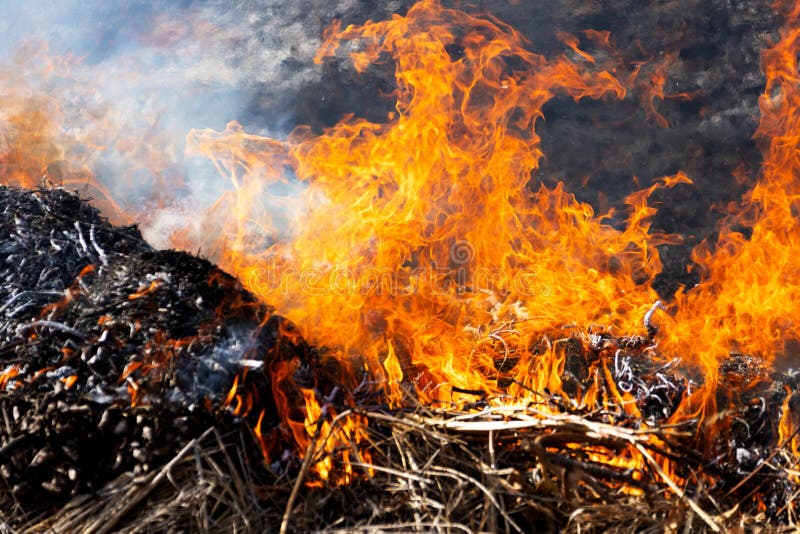Steppe Fires during Severe Drought Completely Destroy Fields. Disaster ...