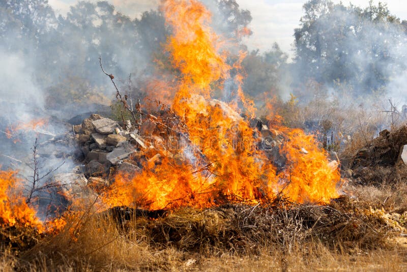 Steppe Fires during Severe Drought Completely Destroy Fields. Disaster ...