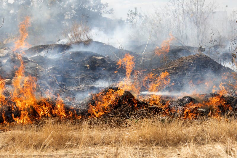 Steppe Fires during Severe Drought Completely Destroy Fields. Disaster ...