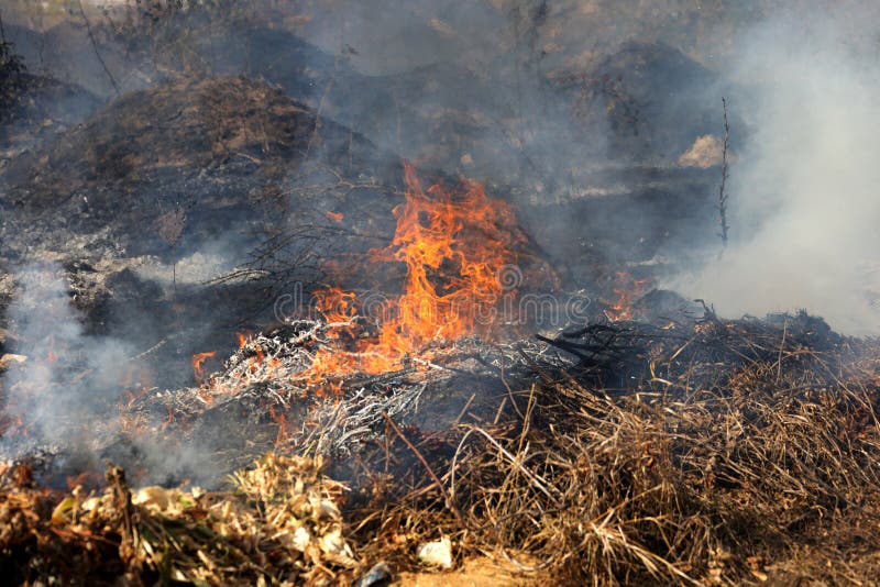 Steppe Fires during Severe Drought Completely Destroy Fields. Disaster ...