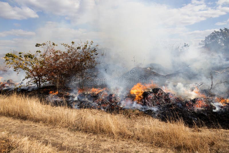 Steppe Fires during Severe Drought Completely Destroy Fields. Disaster ...