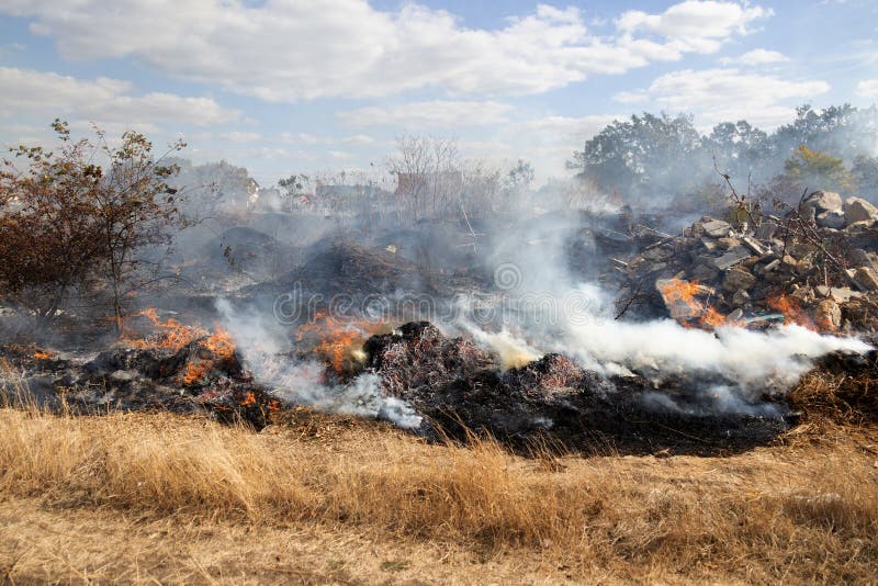 Steppe Fires during Severe Drought Completely Destroy Fields. Disaster ...