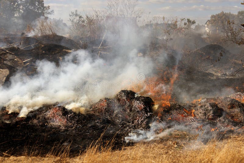 Steppe Fires during Severe Drought Completely Destroy Fields. Disaster ...