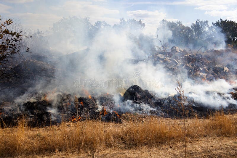 Steppe Fires during Severe Drought Completely Destroy Fields. Disaster ...