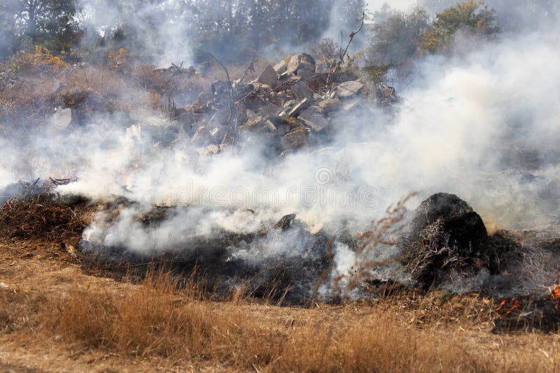 Steppe Fires during Severe Drought Completely Destroy Fields. Disaster ...
