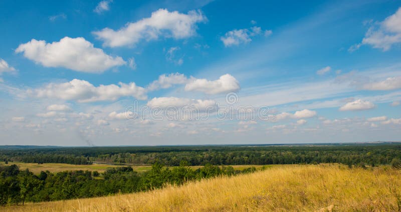 Steppe and forest stock photo. Image of yellow, wood - 50290970