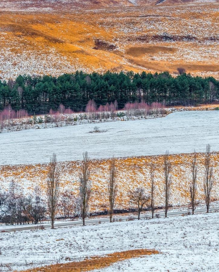 The Steppe in the Mountains. Stock Photo - Image of background, texture ...