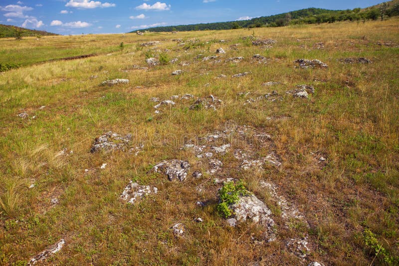 Steppe nature background stock image. Image of ancient - 129985655