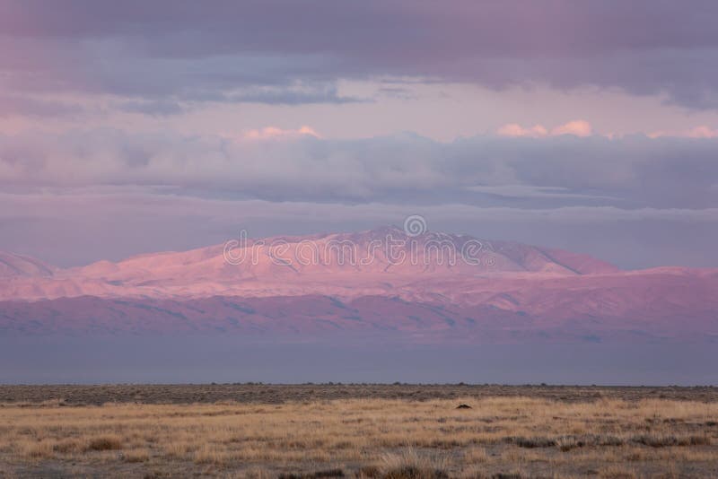 Steppe Near the Mountains. Western Mongolia Stock Image - Image of ...