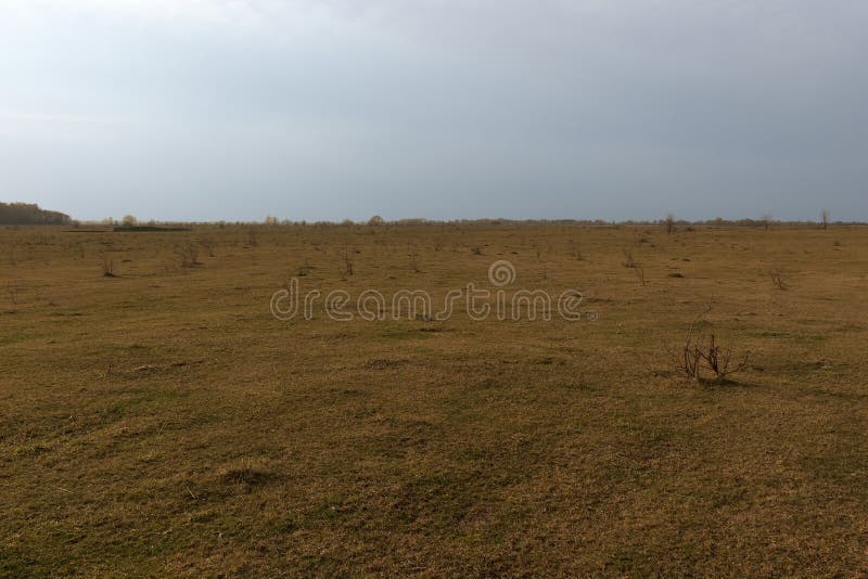 Steppe Plain on a Cold Evening. Beautiful Sky Over the Field Stock ...