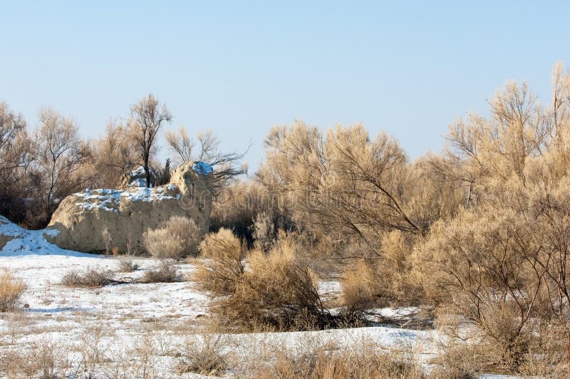 Steppe, Prairie, Veld, Veldt Stock Image - Image of rural, asia: 122256813