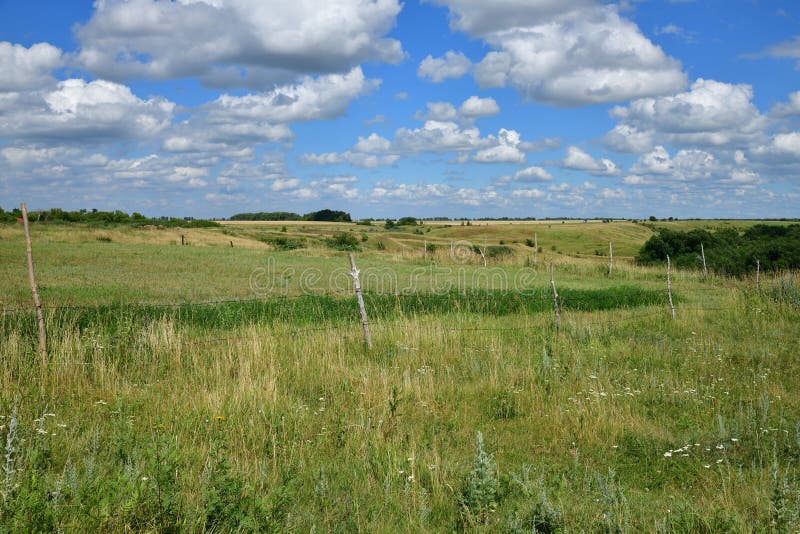 Steppe Rural Landscape in Russia in July Stock Photo - Image of country ...