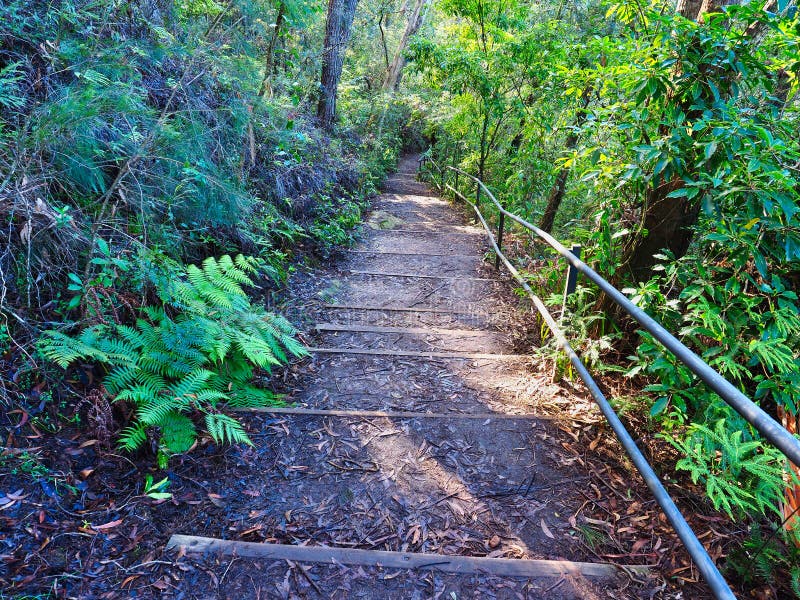 Stepped Walking Path, Australian Bush Stock Photo - Image of walking ...