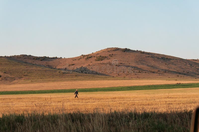 Steppes of Eastern Romania, 2007 Stock Image - Image of eastern, farmer ...