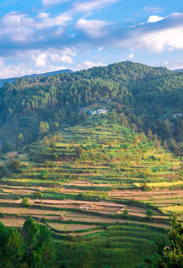 Stepping Fields in Mountains Stock Photo - Image of landscape, culture ...