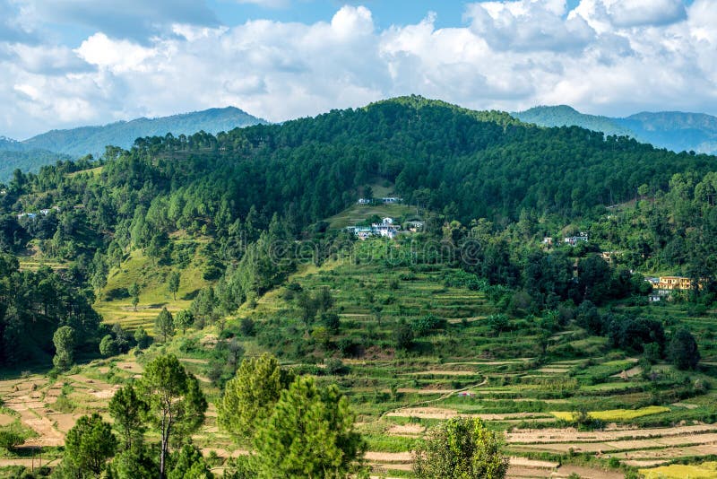 Stepping Fields in Mountains Stock Photo - Image of beautiful, altitude ...