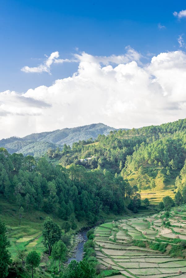 Stepping Fields in Mountains Stock Image - Image of landmark, asian ...