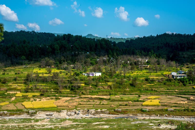 Stepping Fields in Mountains Stock Photo - Image of flow, clouds: 129468750