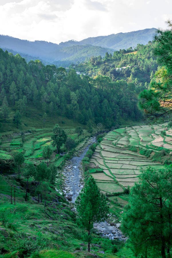 Stepping Fields in Mountains Stock Image - Image of culture, beauty ...