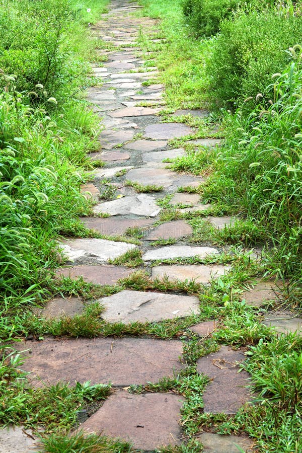 767 Stepping Stone Path Grass Stock Photos - Free & Royalty-Free Stock ...