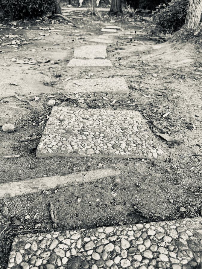 Stepping Stones Path stock photo. Image of pebble, texture - 353447914