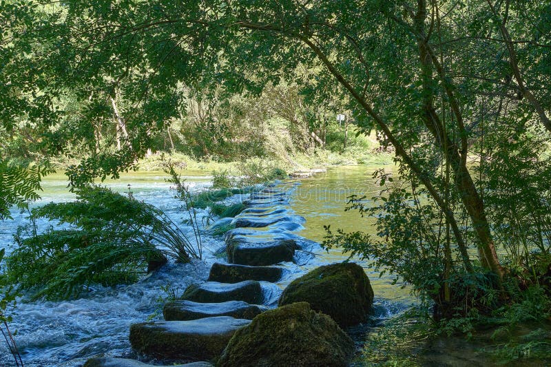 Stepping Stones in the Water Near Some Trees and Rocks on the Side of a ...