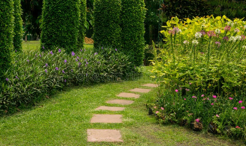 Stepping Walkway in Small Garden Greenery Shrubs and Flower Stock Image ...