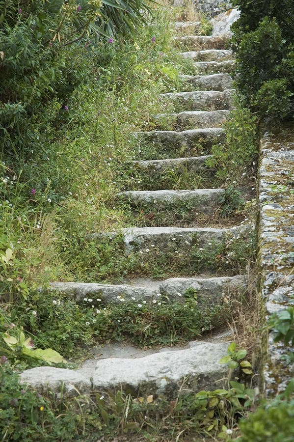 Garden steps stock photo. Image of park, ornamental, view - 2322280