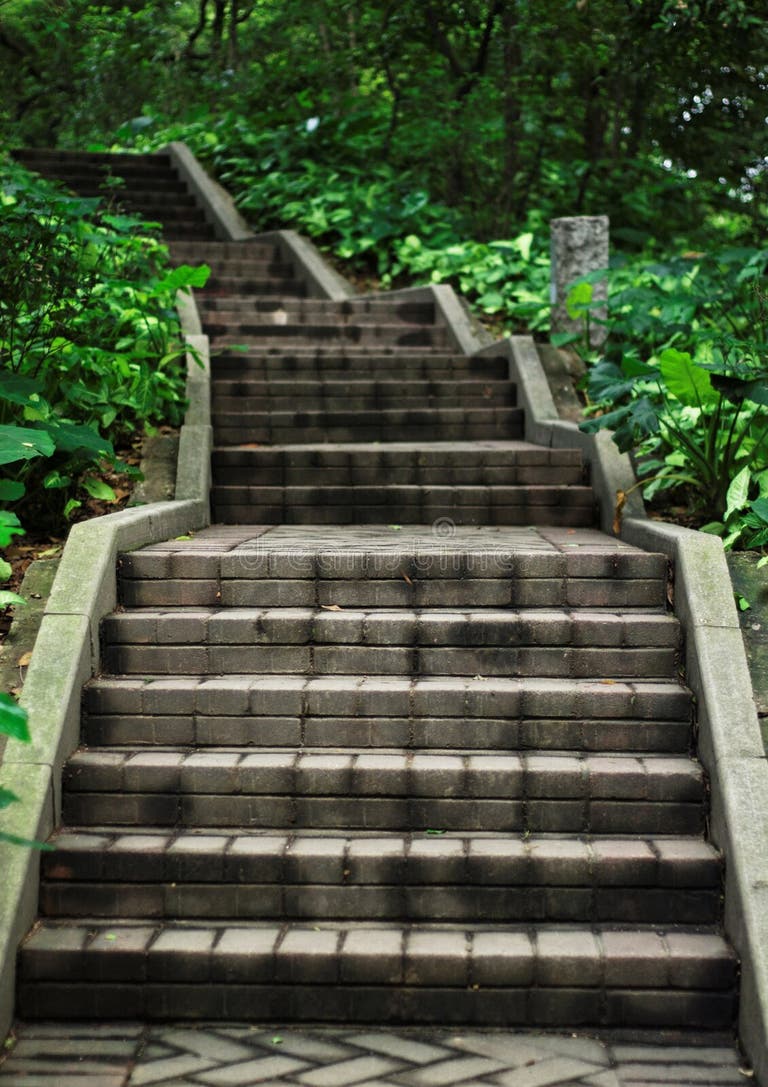 5,397 Steps Level Stock Photos - Free & Royalty-Free Stock Photos from ...