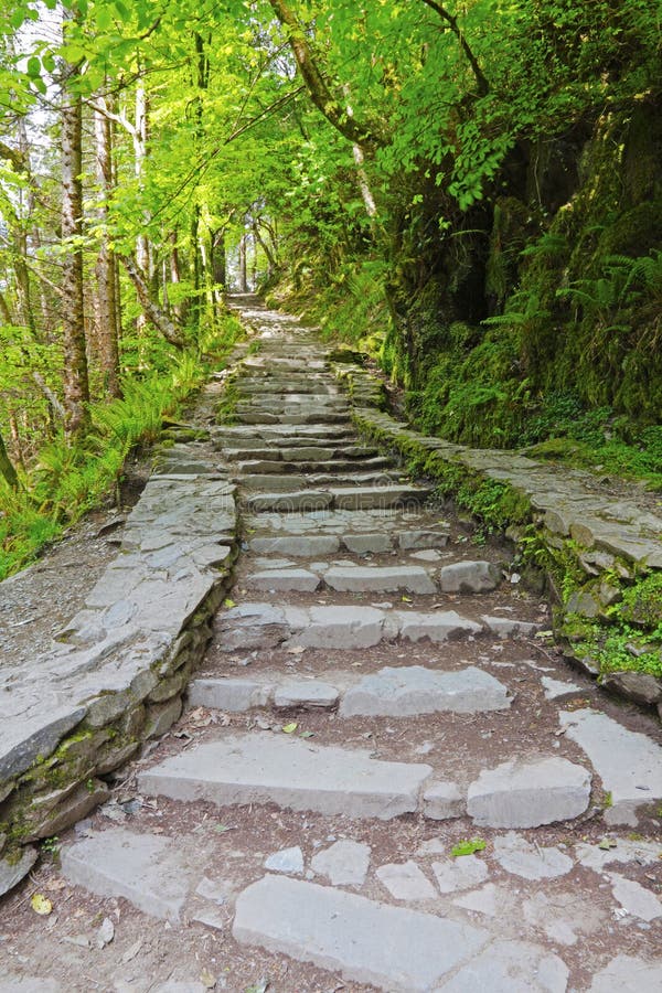 Steps stock photo. Image of tourism, eire, ireland, green - 14483822