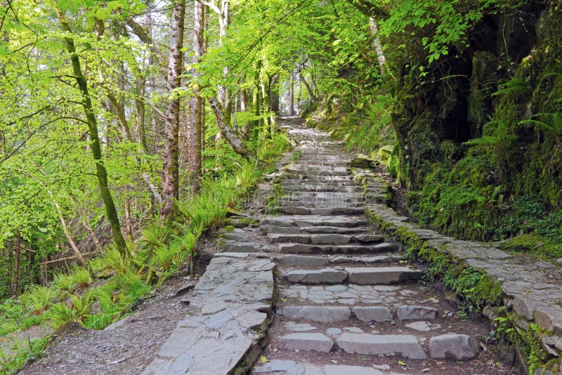 Steps stock image. Image of tourism, park, eire, nature - 14518643