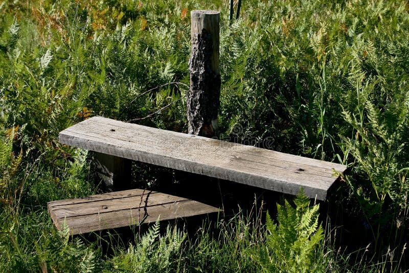 Steps Picture. Image: 306721