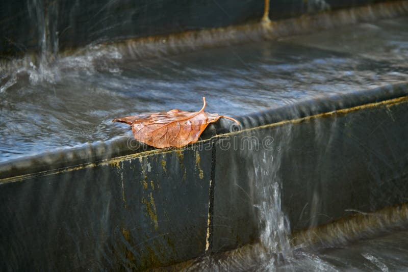 Steps Picture. Image: 538087