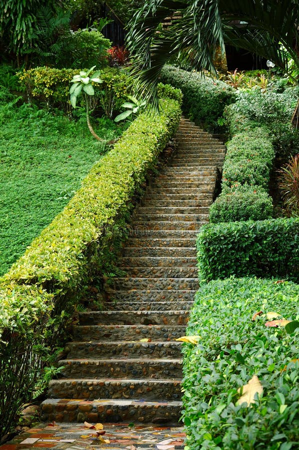 Steps stock image. Image of formal, lane, plant, park - 5971985