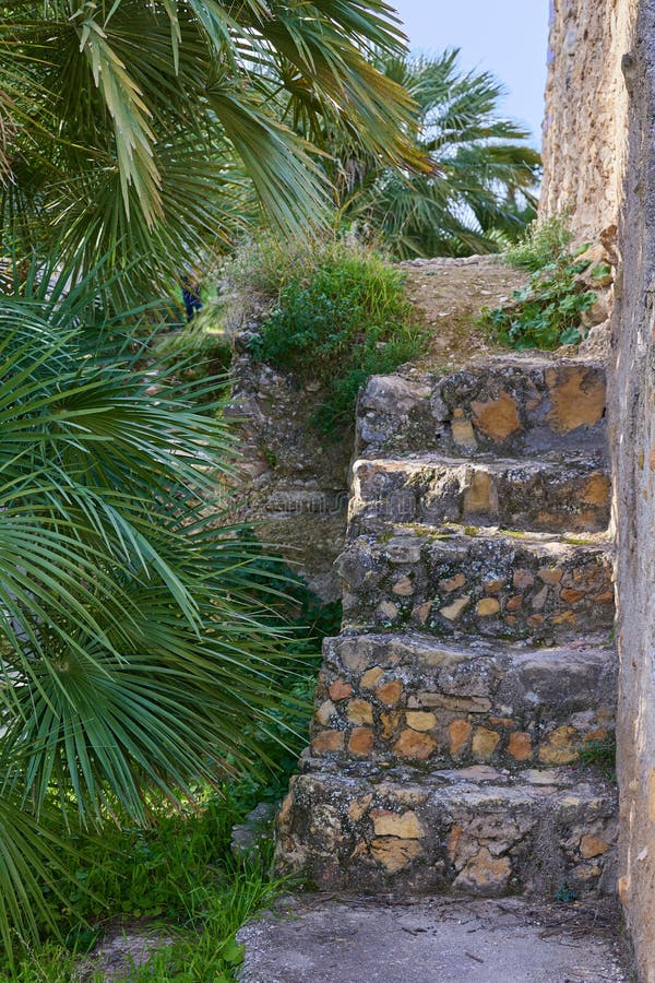 Steps Along the Wall in the Ancient Stone Castle of Xativa with Palm ...