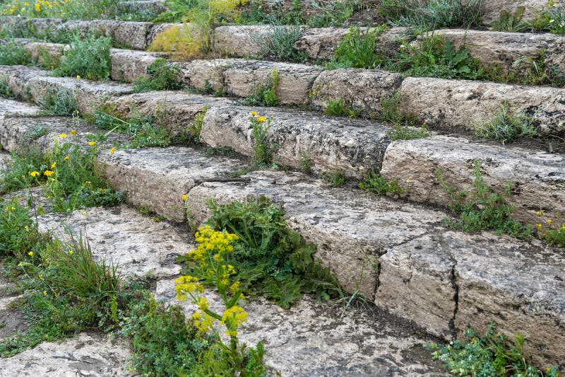 Ancient Stone Staircase of a Temle Close Up. Stock Photo - Image of ...