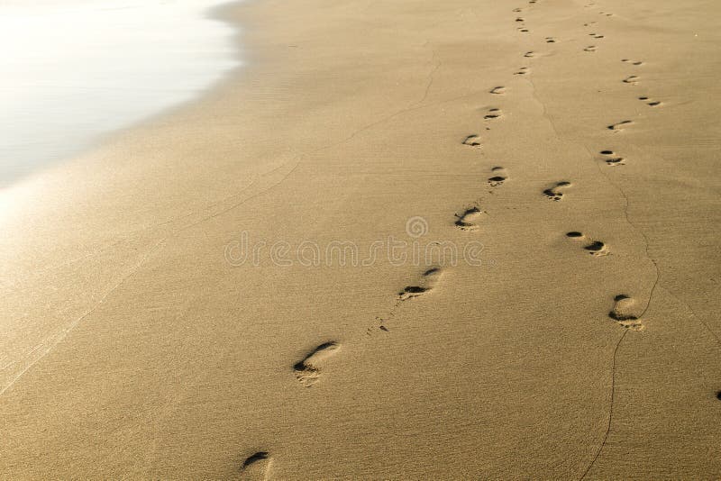Steps on the beach stock photo. Image of summertime - 189940494