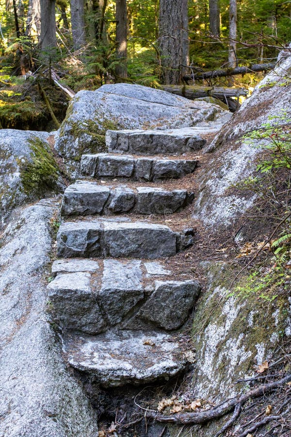 Steps Carved in Stone on a Pathway Stock Image - Image of path, woods ...