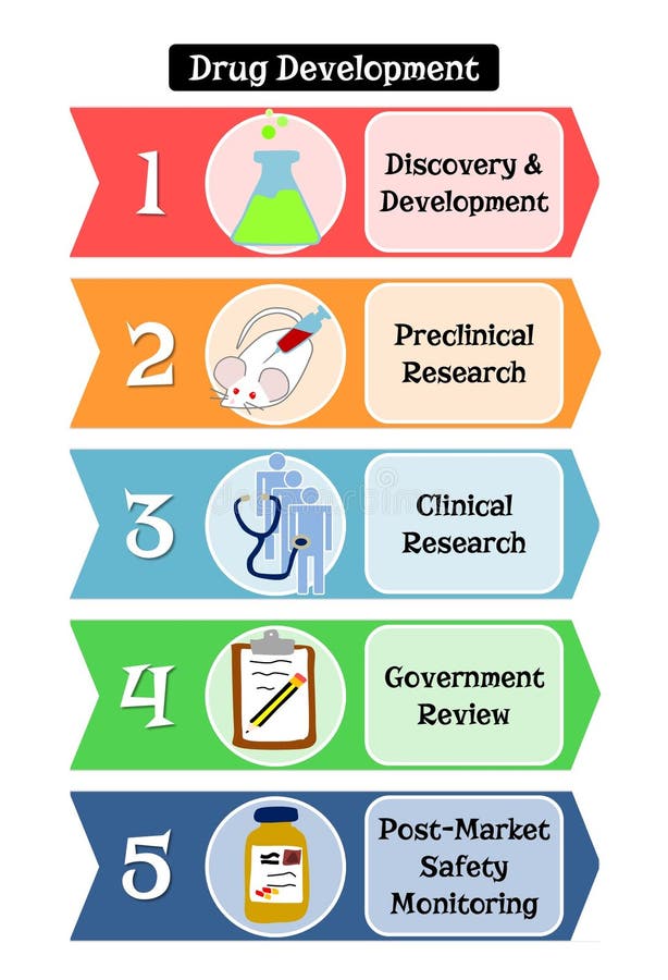 The Steps of Drug Development Stock Vector - Illustration of cure ...